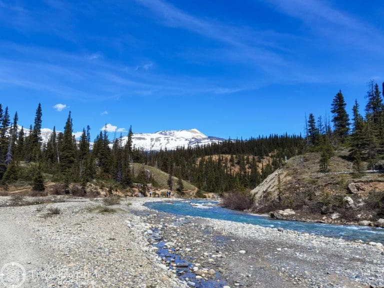 Ruta a la cascada del glaciar Bow, Parque Nacional de Banff